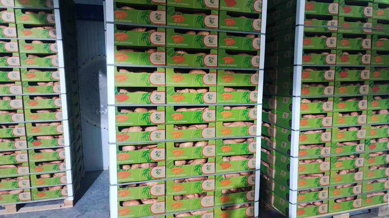 Home - Fresh Produce Egypt